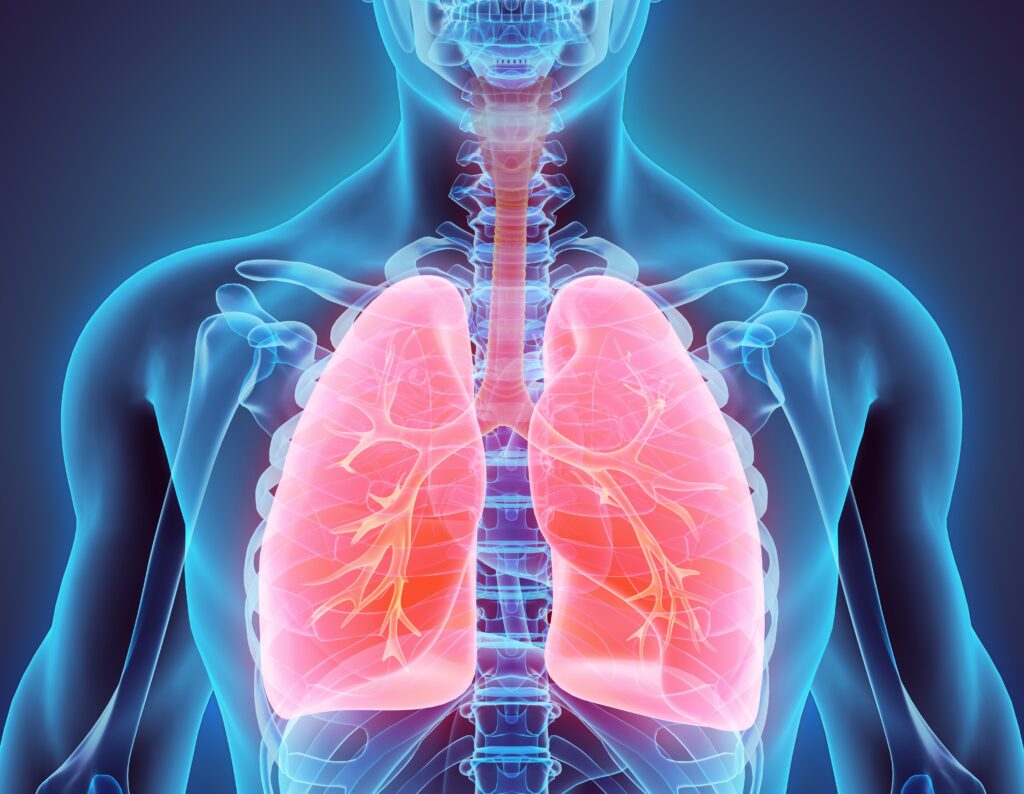 Evaluating Different Breathing Systems - Brandon LaGreca