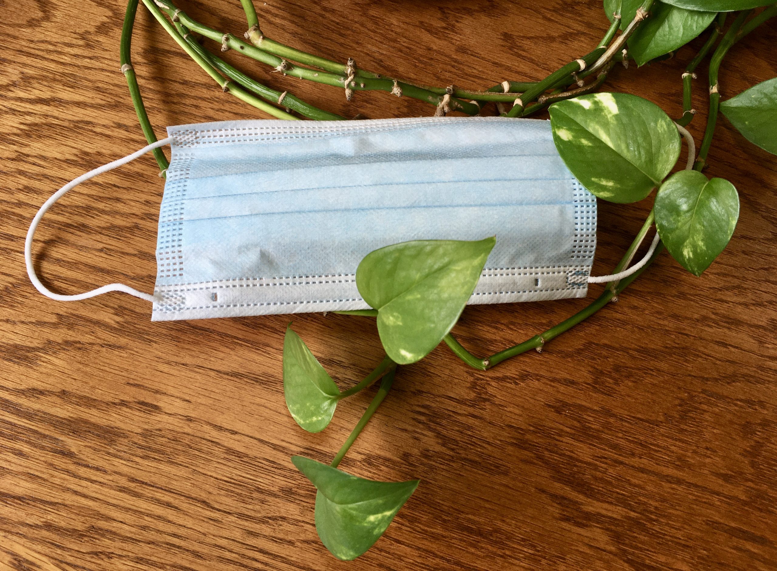 The Pros and Cons of Masks - Brandon LaGreca